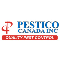 Best Pest Control Toronto | #1 Pest Control & Extermination Service